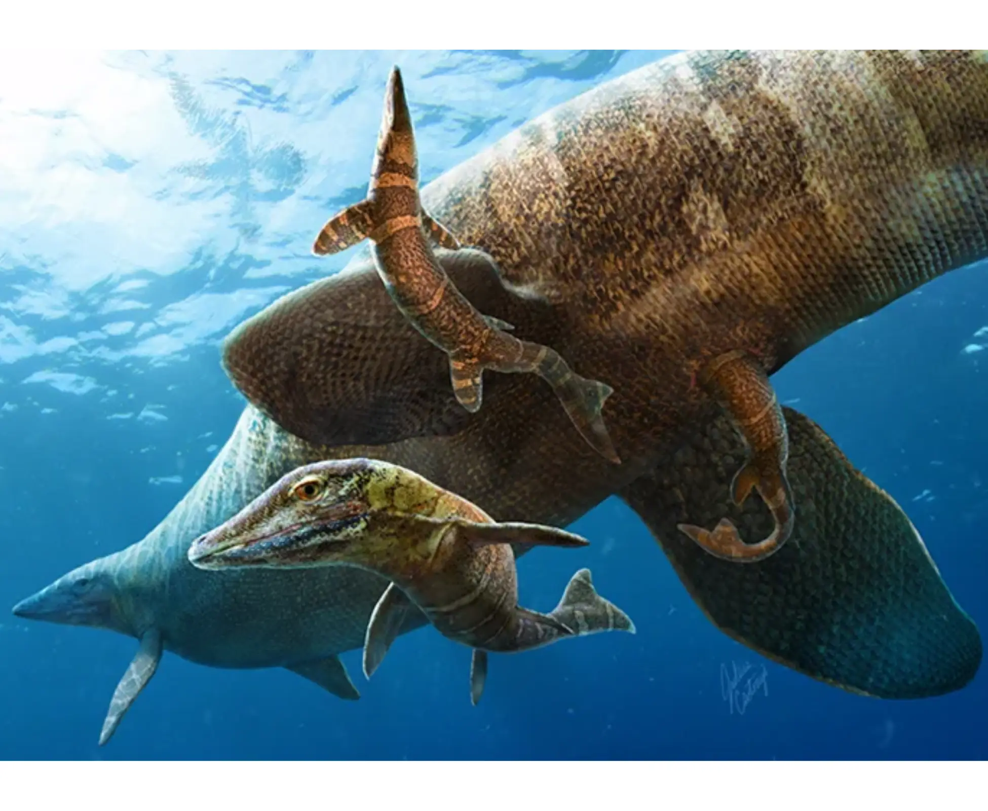 The Marine Dragons of the Mesozoic