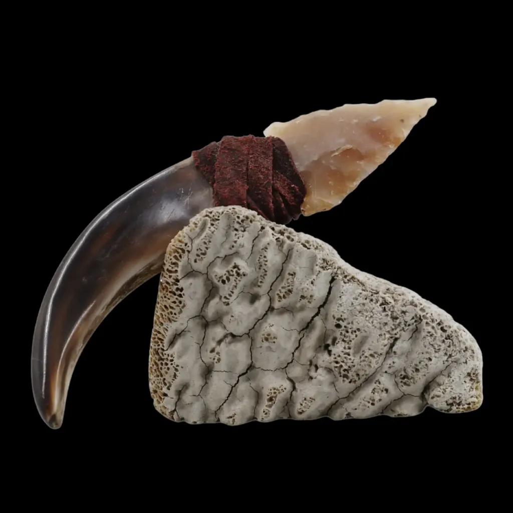 Bear Claw And Quartz Blade On Whale Bone Tribal Symbol Of Power And