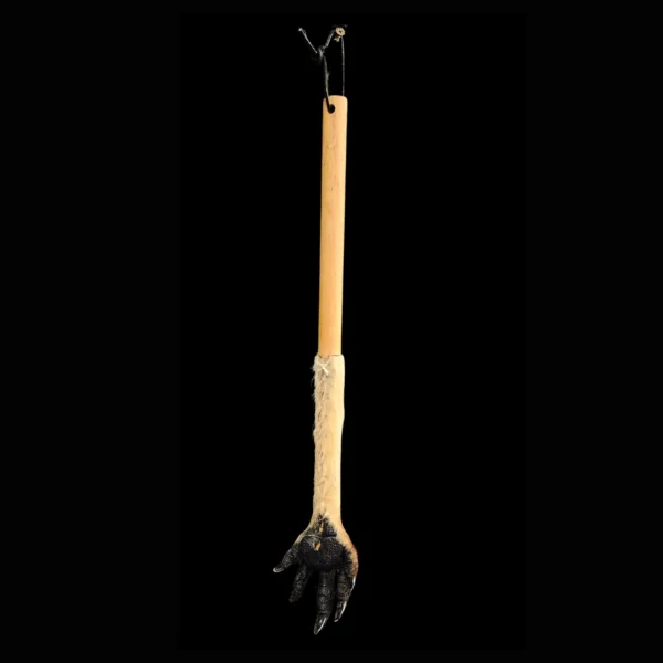 Back Scratcher Made from Australian Kangaroo Paw – A Curiosity of ...